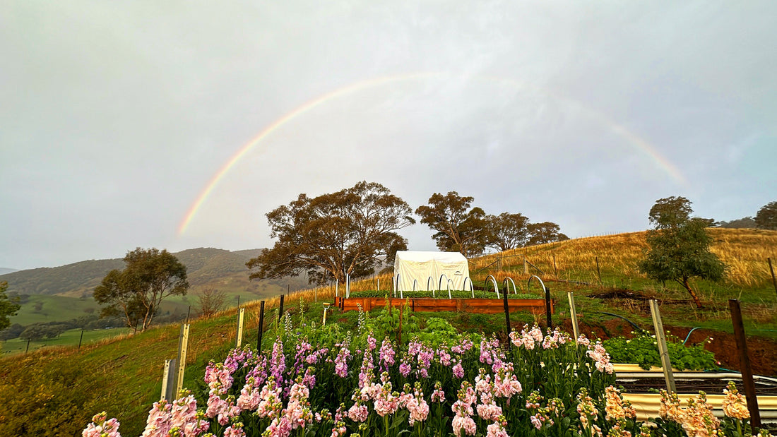 About – Cecil & Ash