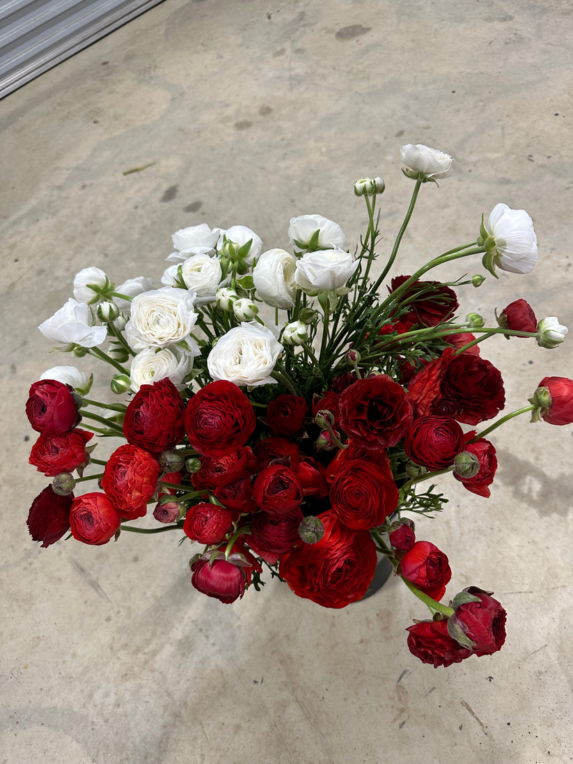 Italian Ranunculus Corms - Romance Mix – Cecil & Ash
